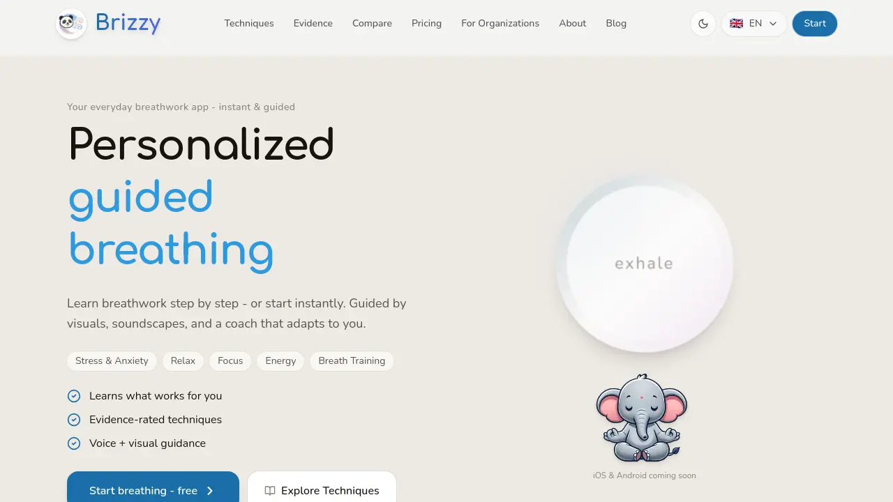 Brizzy - Your everyday AI-powered breathwork coach — instant, guided ...