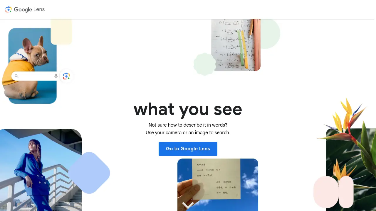 Google Lens - Search, shop, translate, and identify what you see.