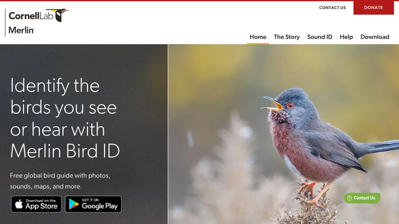Merlin Bird ID - Identify the birds you see or hear