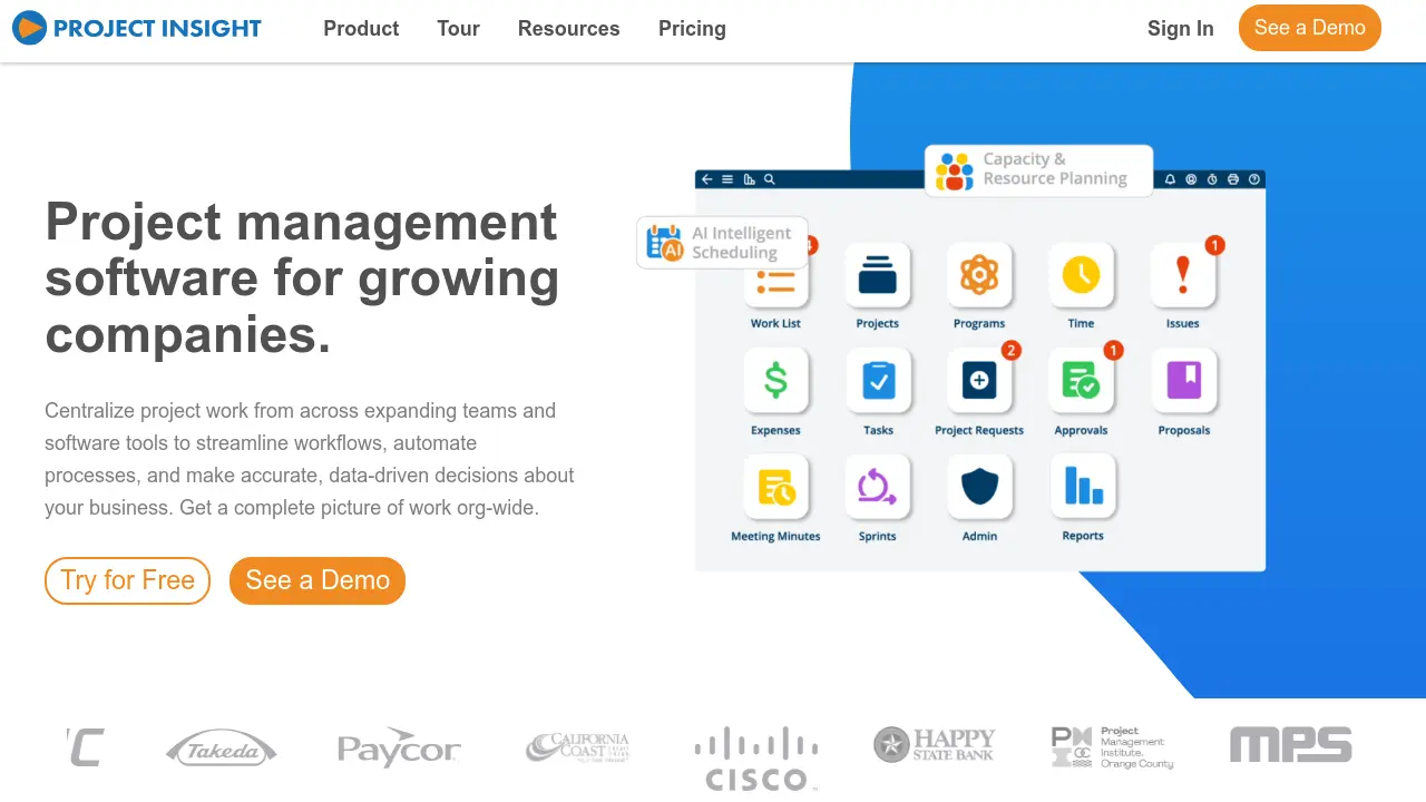Project Insight - Project management software for growing companies.