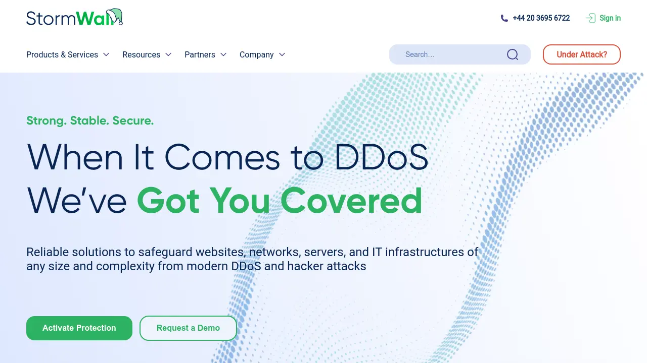 StormWall - Strong. Stable. Secure. When It Comes to DDoS, We've Got ...