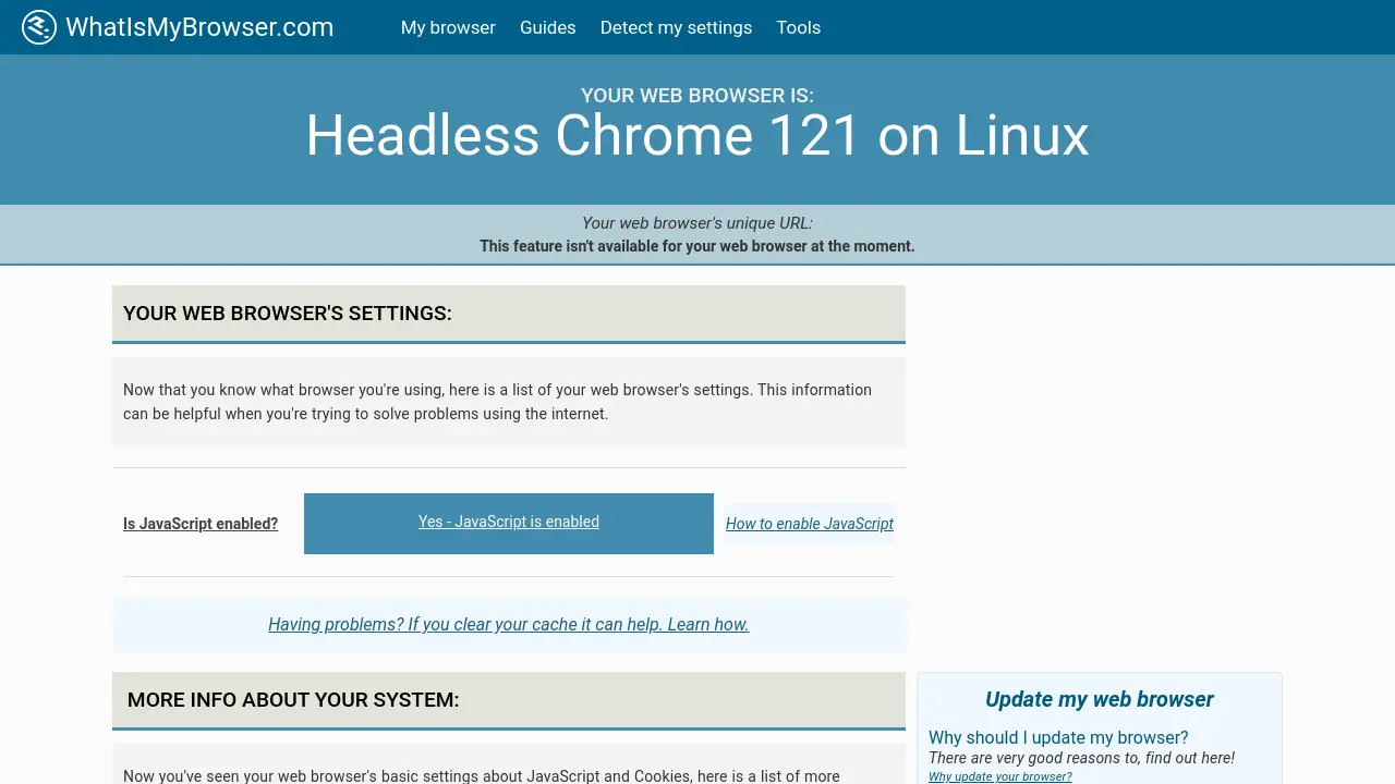 WhatIsMyBrowser.com - Detect and analyze your web browser settings and ...